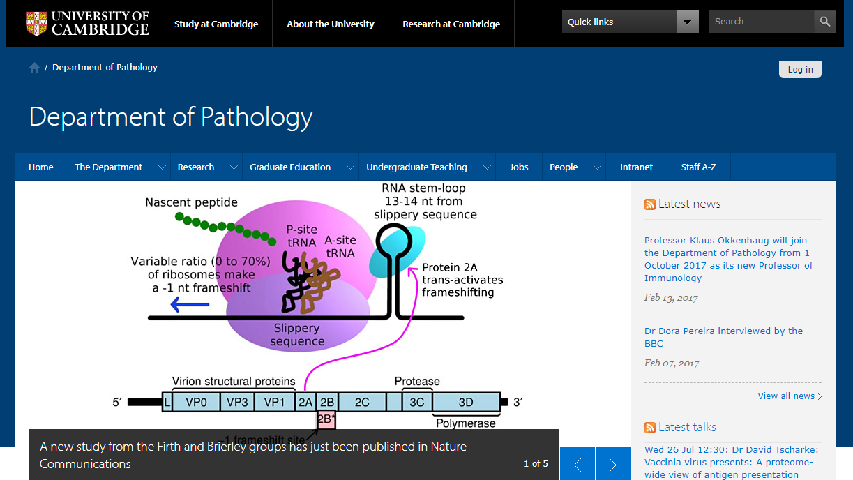 University of Cambridge Department of Pathology PhD Studentship - Studycor